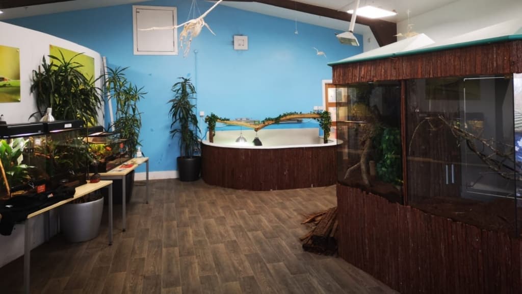 Reptile and Bug House opening - Dartmoor Zoo