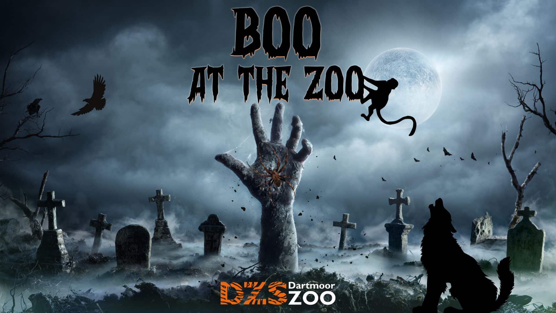 BOO at the Zoo is back! - Dartmoor Zoo