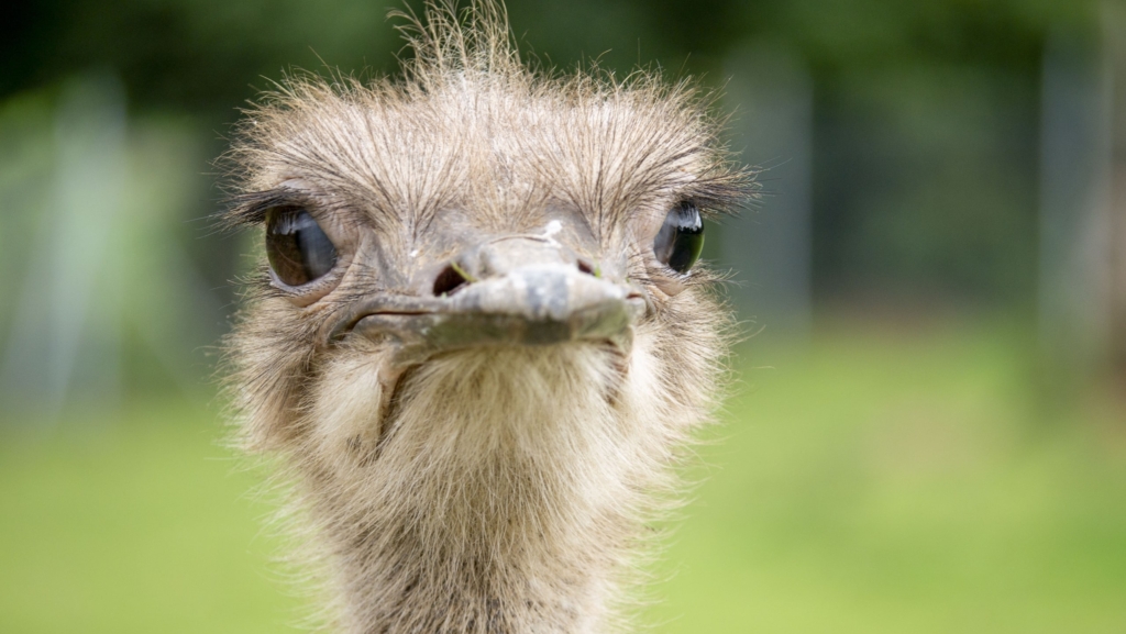 Fun Day Out in Devon: The Best Season to Visit Us