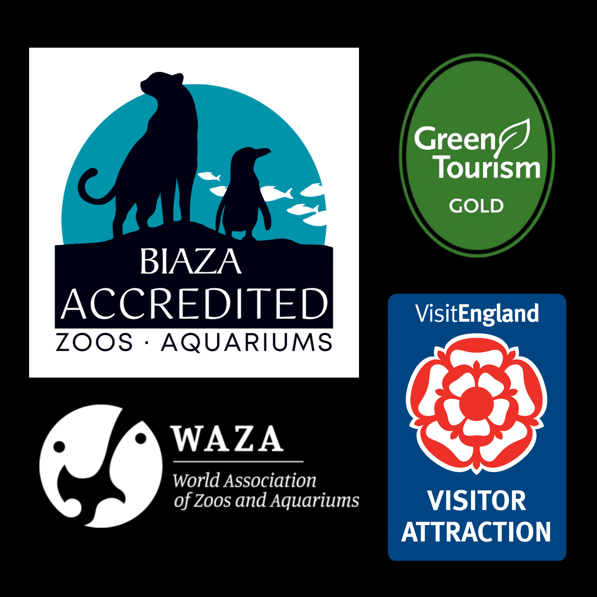 Job vacancies - Dartmoor Zoo